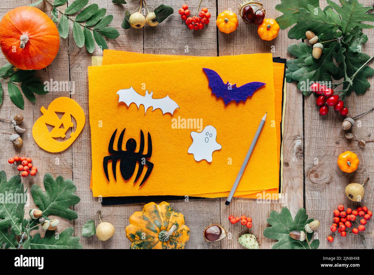 DIY Halloween crafting, handmade felt spider, pumpkin, and bat ...