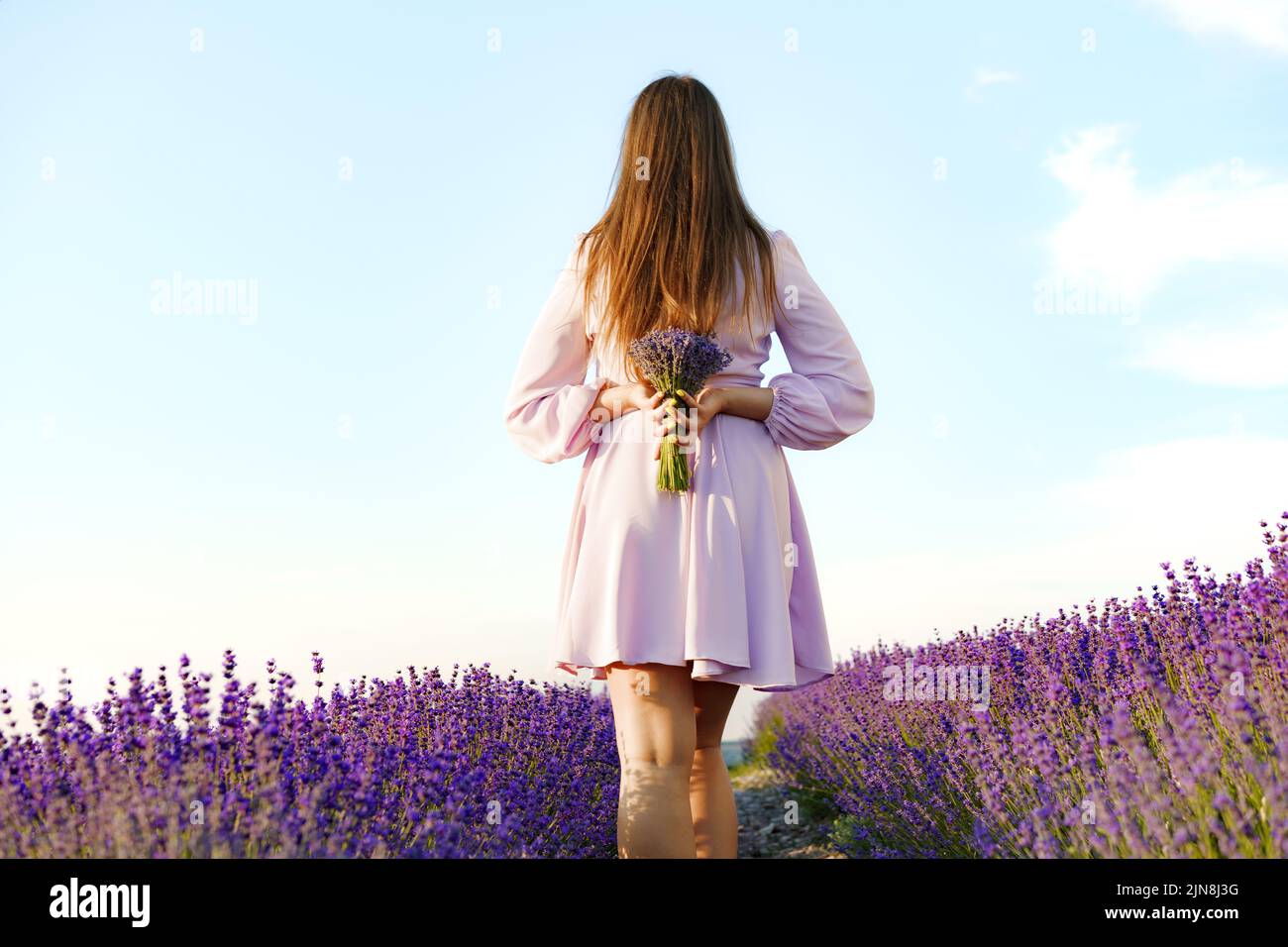 Back view of a pretty young girl in dress standing in lavender field ...