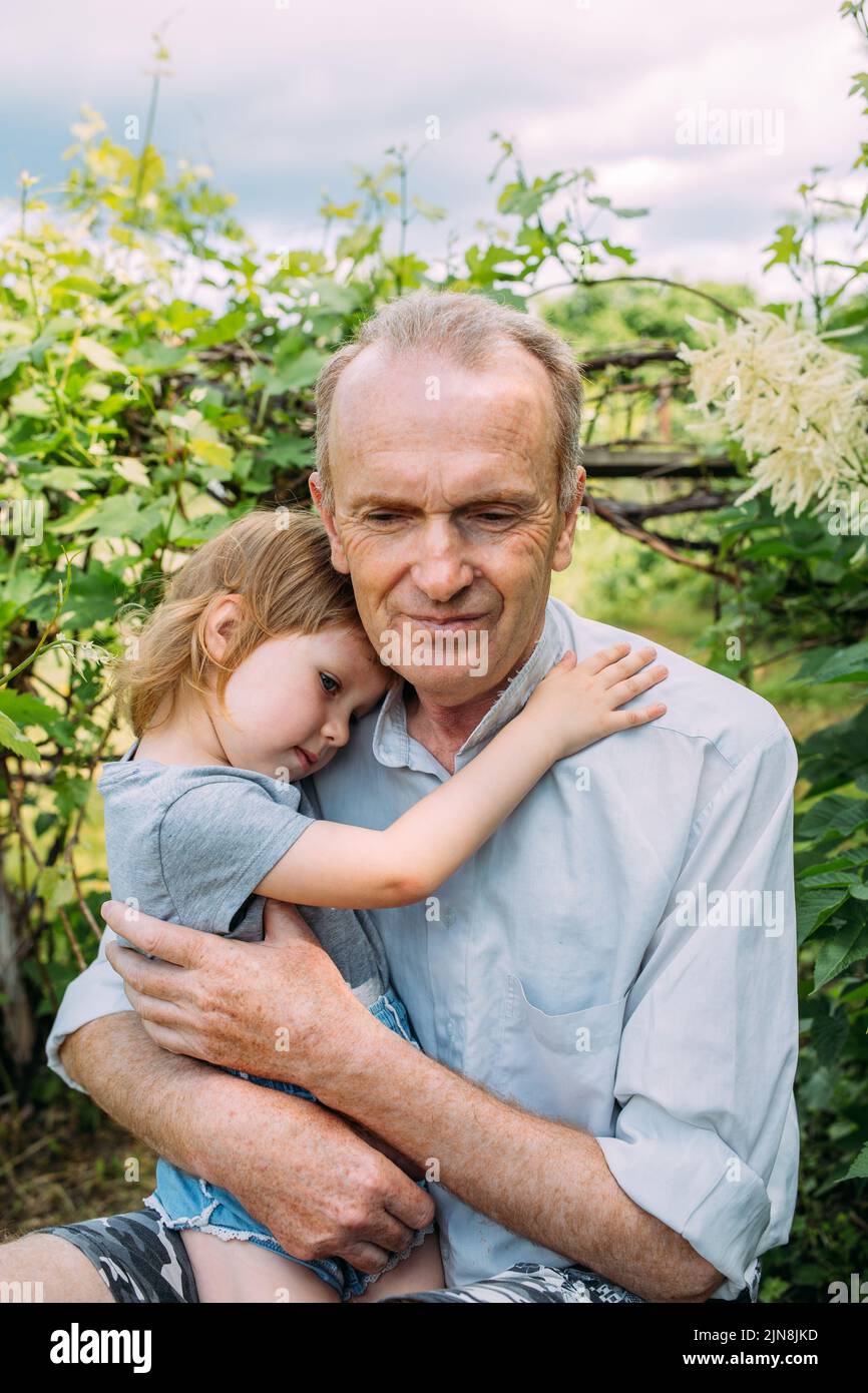 A little girl hugs her grandfather on a walk in the summer outdoors ...