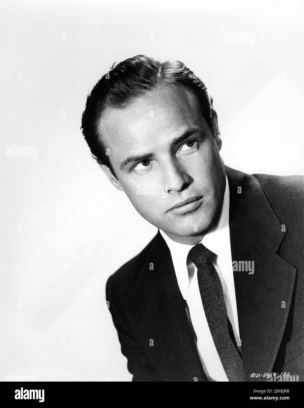 MARLON BRANDO 1953 Portrait publicity for Columbia Pictures Stock Photo ...