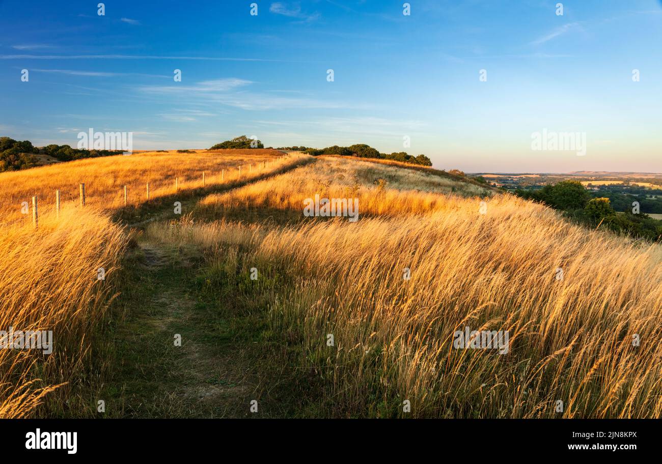 Giant's grave wiltshire hi-res stock photography and images - Alamy