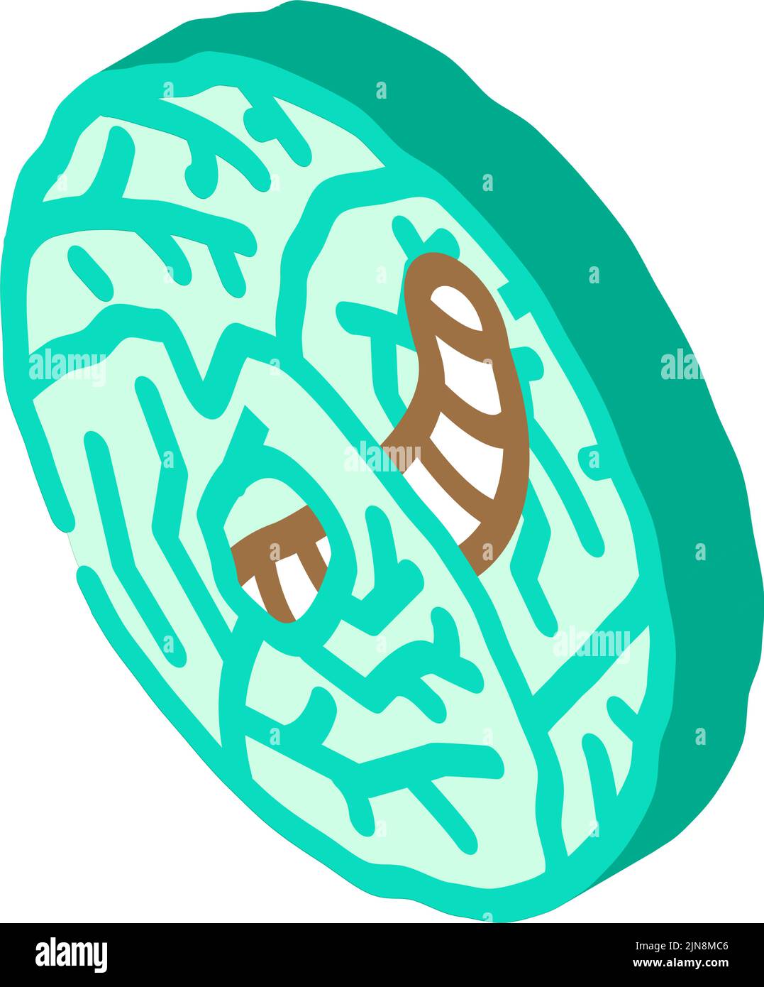 worm cabbage isometric icon vector illustration Stock Vector Image ... worm cabbage isometric icon vector illustration Stock Vector Image ...
