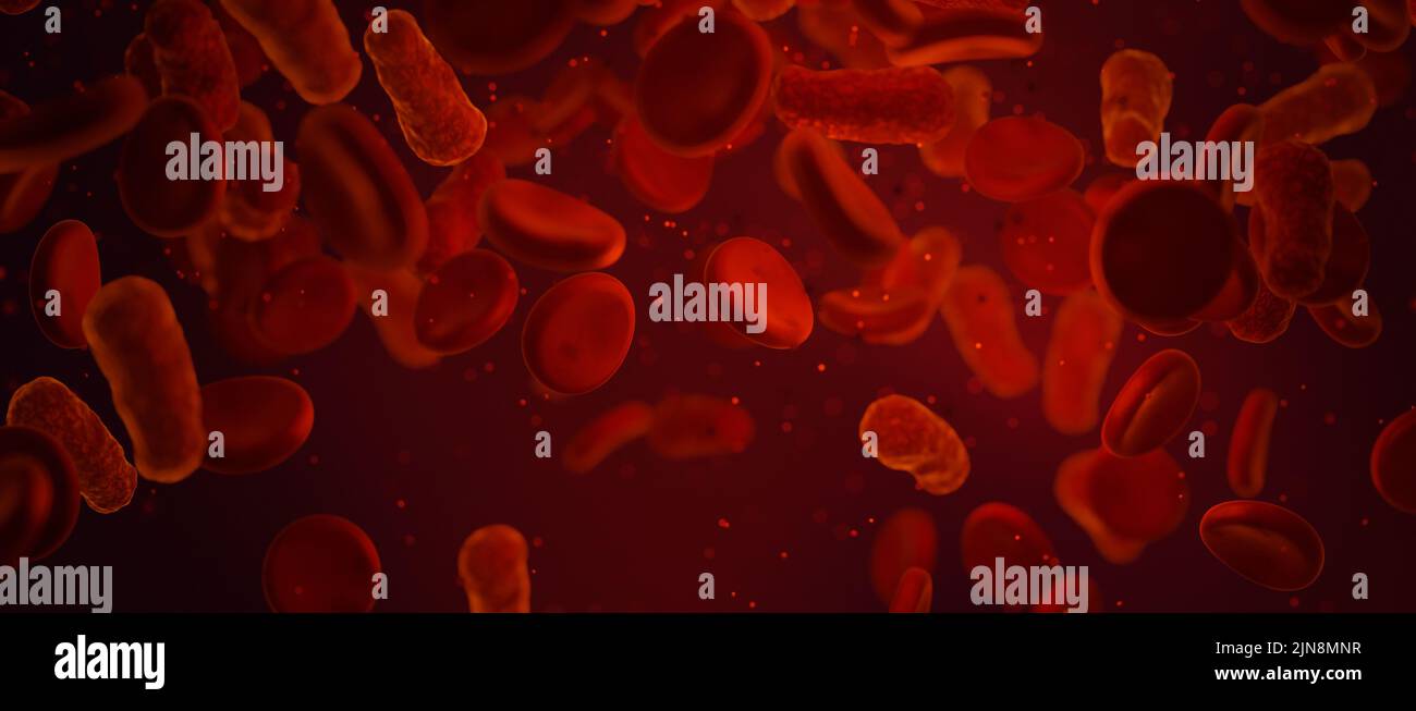 Red Blood Cells flowing banner background 3D Render Stock Photo - Alamy