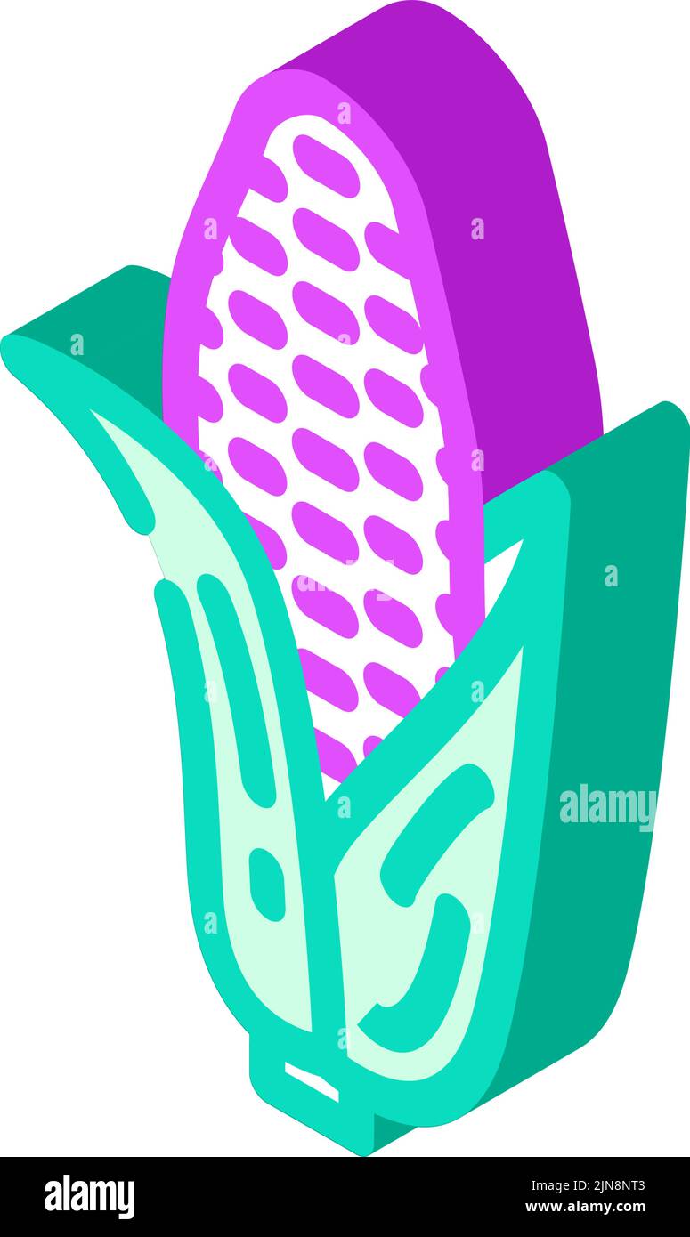 purple corn isometric icon vector illustration Stock Vector Image & Art ...