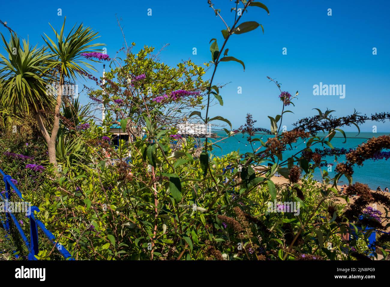 Colourful seaside promenade with foliage, sea, railings and pier Stock ...