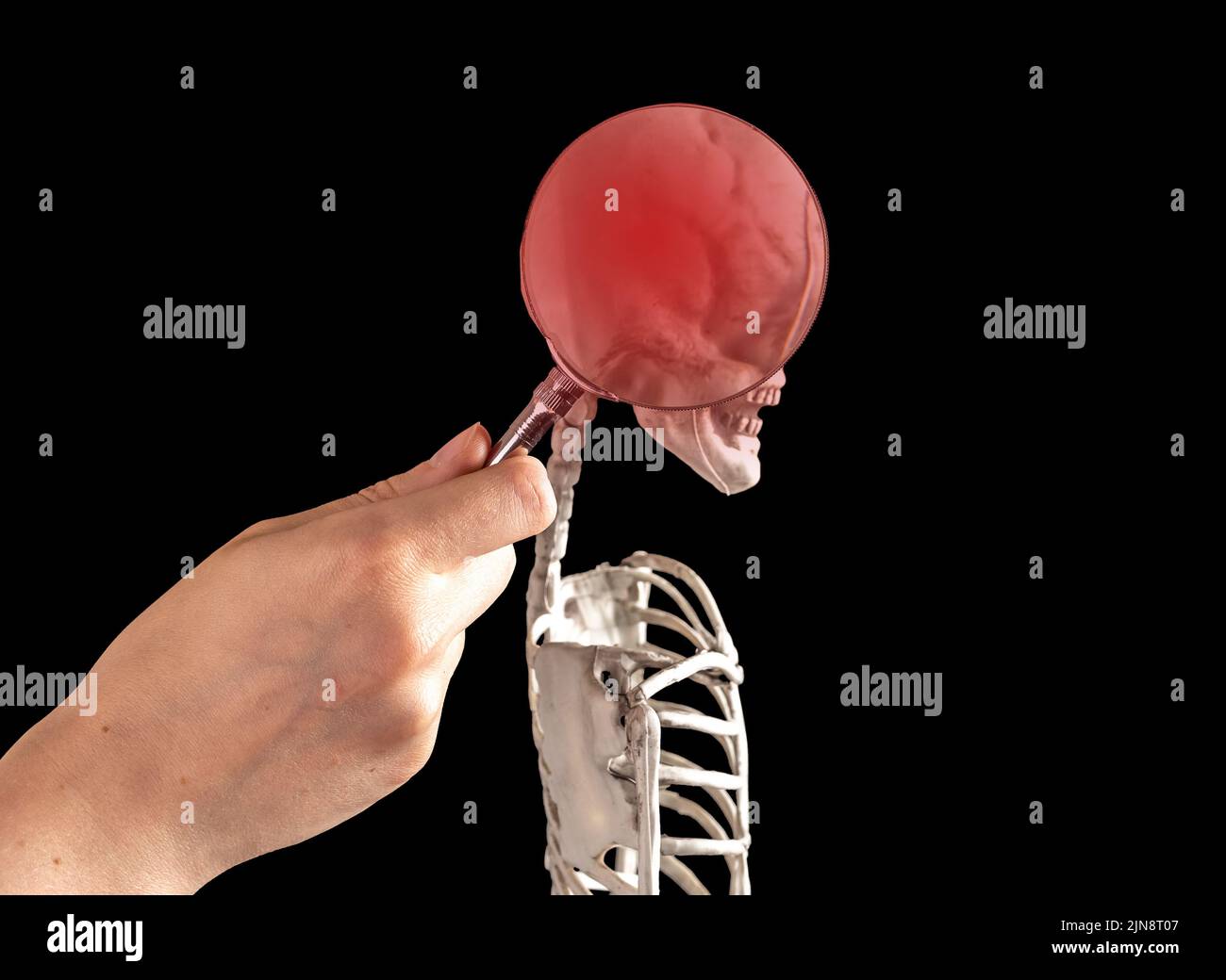 Hand holding magnifying glass over human skull, brain with red point ...