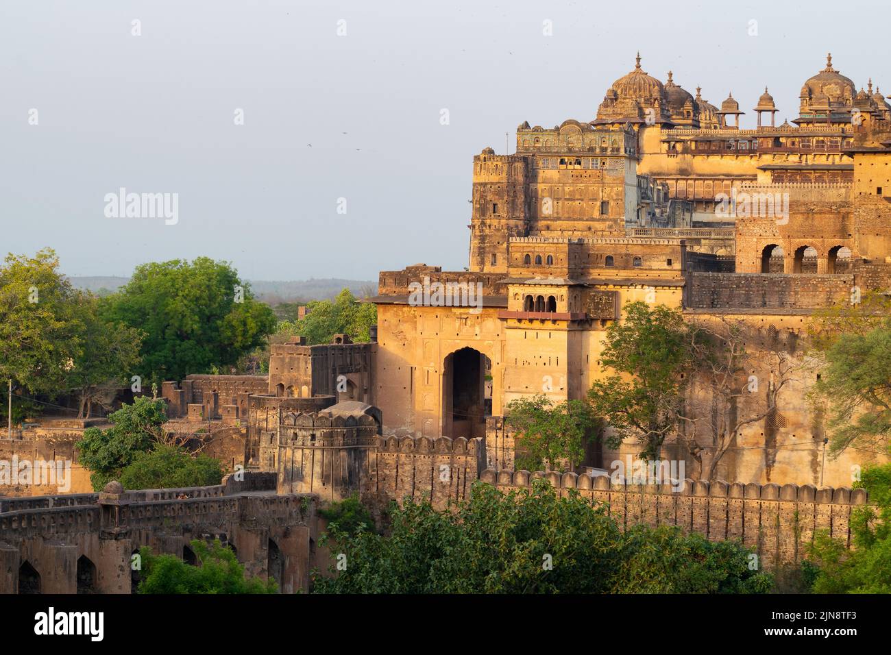 The Orchha Fort complex surrounded by lush trees in India Stock Photo ...