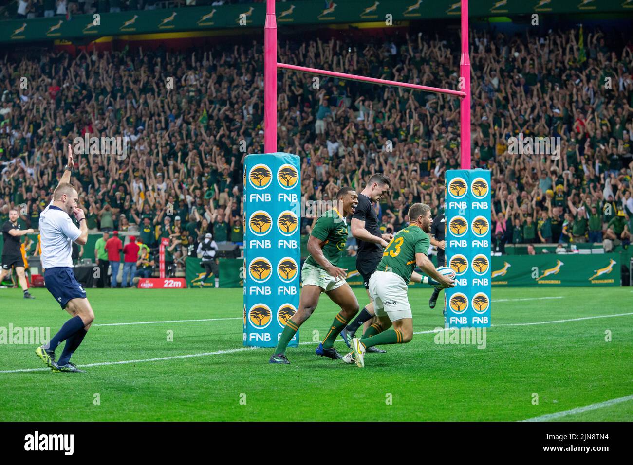 Damian Willemse celebrates as a try is awarded to Willie Le Roux during ...