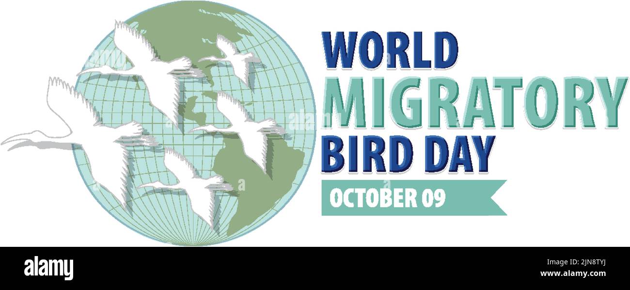 World Migratory Bird Day Banner Design illustration Stock Vector Image ...