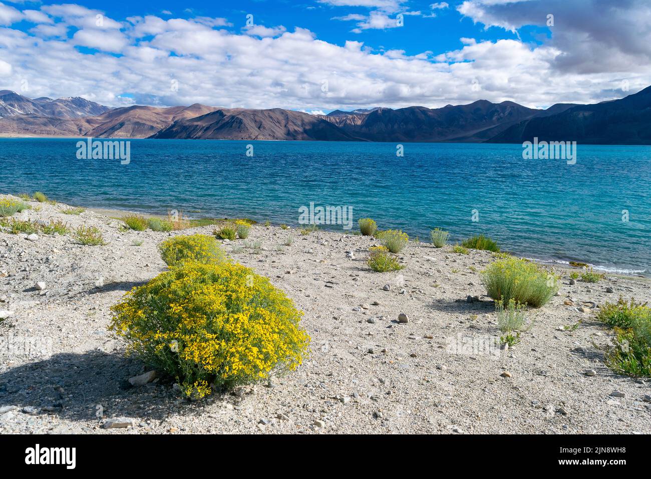 The Pangong Tso lake in Leh Ladak, India against blue cloudy sky ...