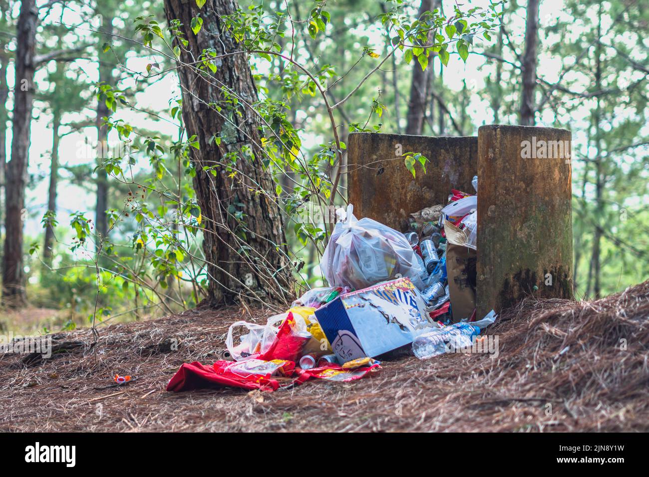 Dump in forest summer park. Overflowing concrete trash can. No control ...