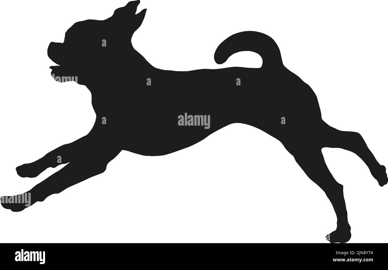 Running and jumping petit brabancon puppy. Black dog silhouette. Pet ...