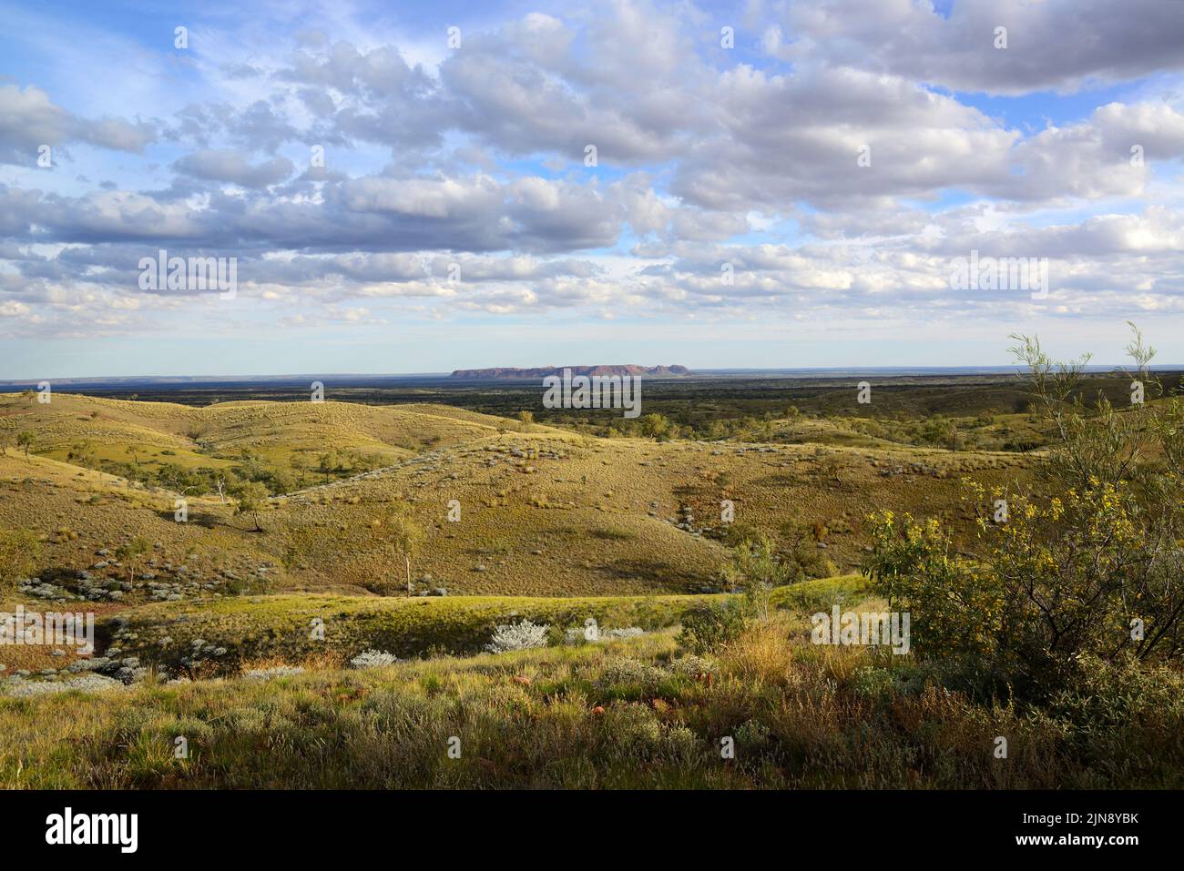The distant Mount Conner, aka Fooluru, seeing as it is sometimes ...