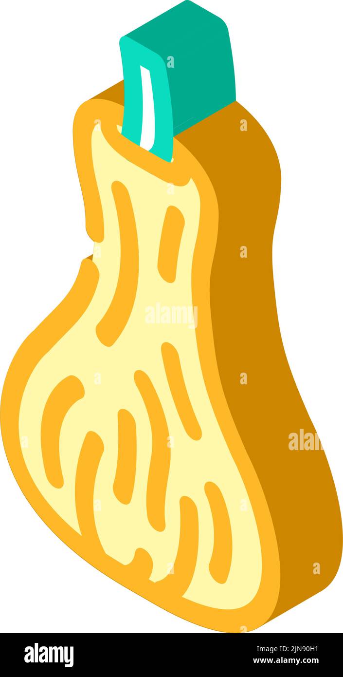 pumpkin food ripe isometric icon vector illustration Stock Vector Image ...