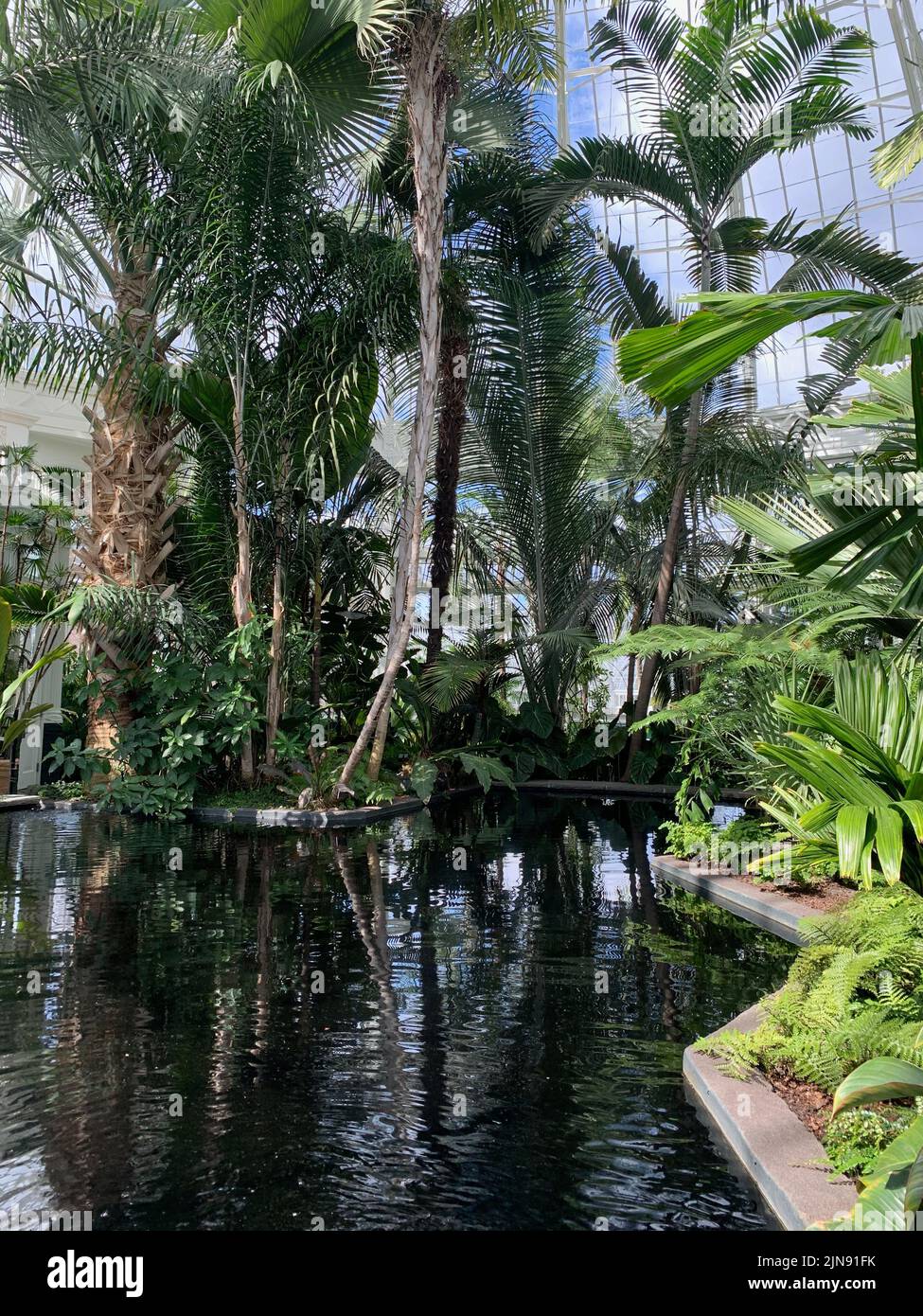 A vertical shot of a pond surrounded by tropical plants in the ...