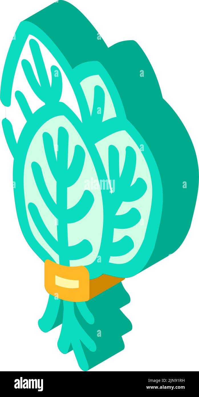 bunches spinach isometric icon vector illustration Stock Vector Image ... bunches spinach isometric icon vector illustration Stock Vector Image ...