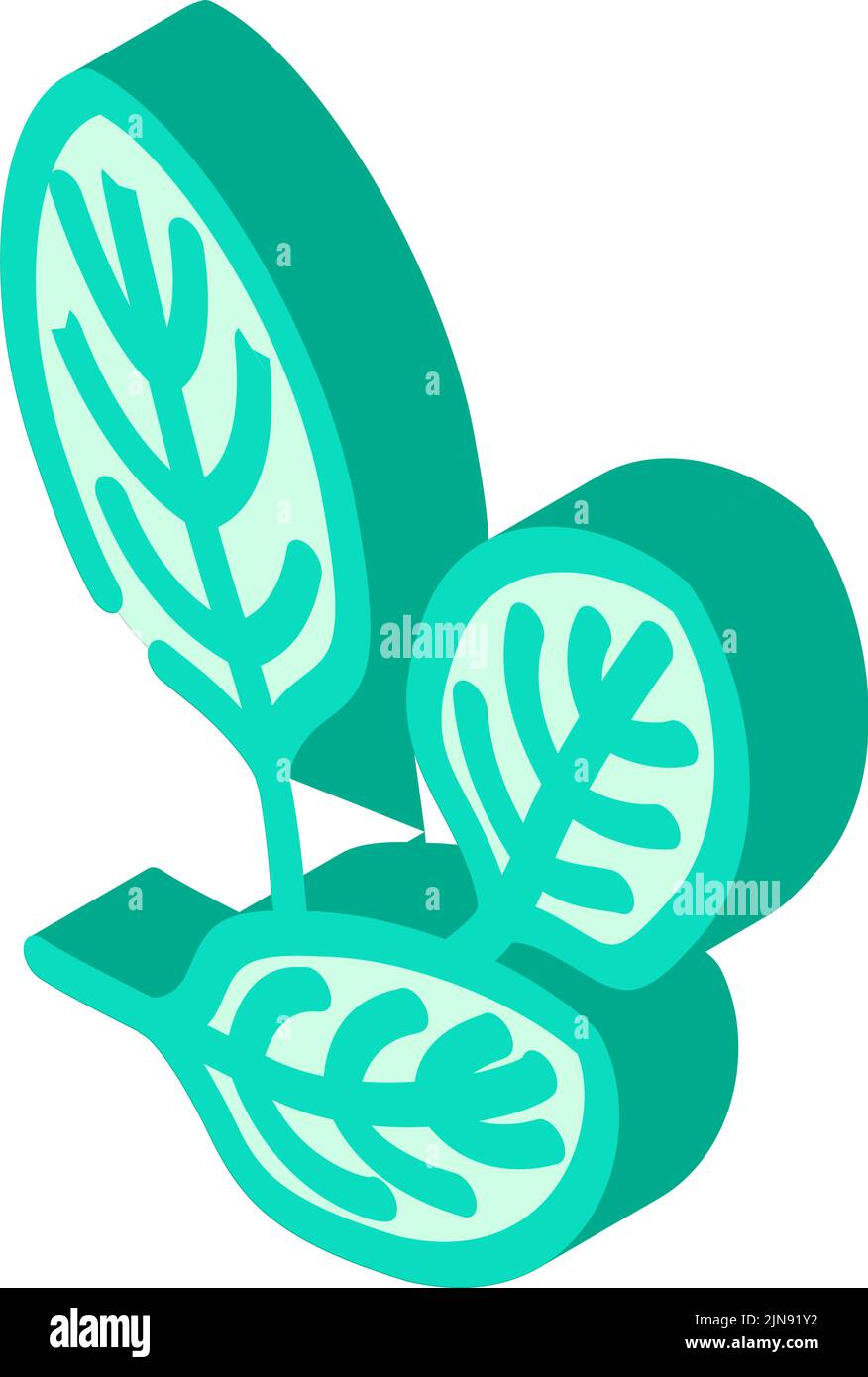 spinach green isometric icon vector illustration Stock Vector Image ... spinach green isometric icon vector illustration Stock Vector Image ...