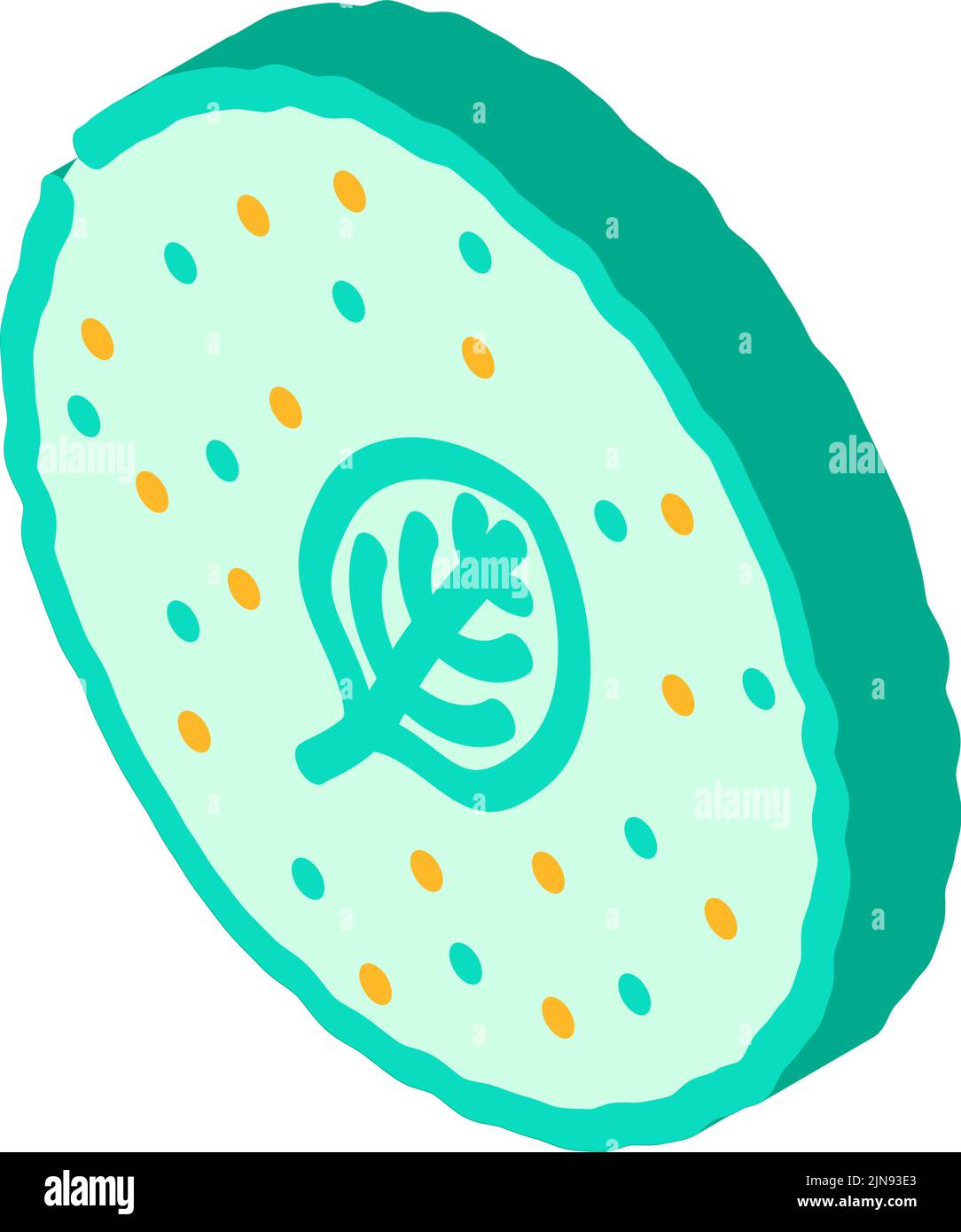tortilla spinach isometric icon vector illustration Stock Vector Image ... tortilla spinach isometric icon vector illustration Stock Vector Image ...