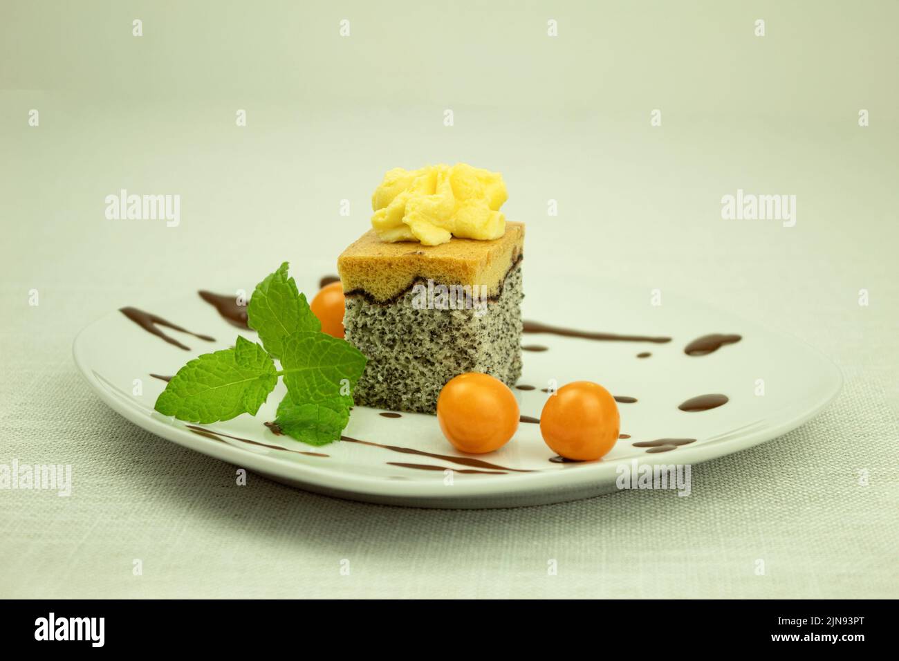 Delicious sponge cake with poppy filling. A piece of cake on a white ...