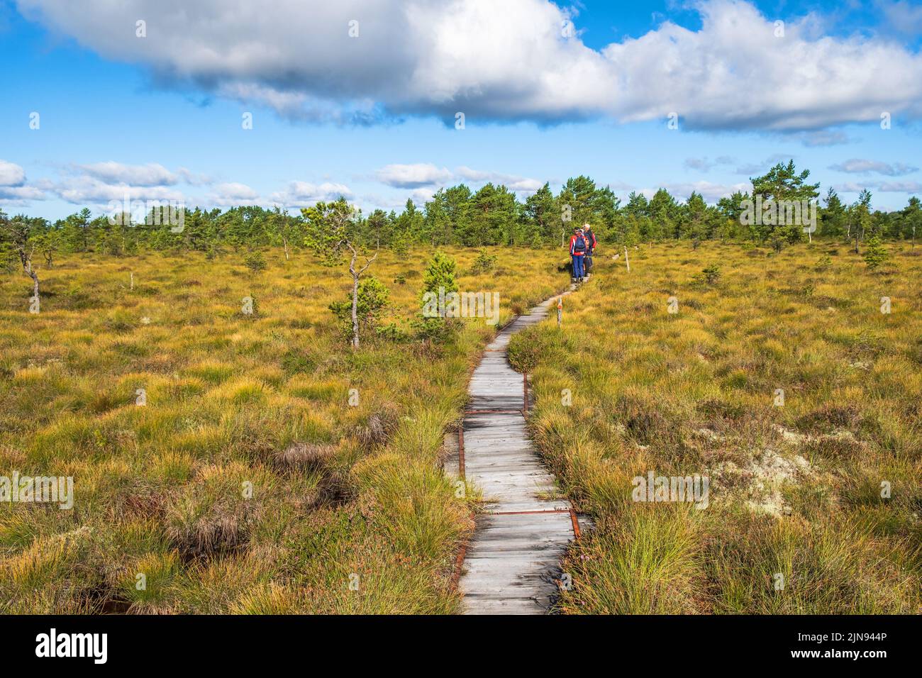 Bog people hi-res stock photography and images - Alamy