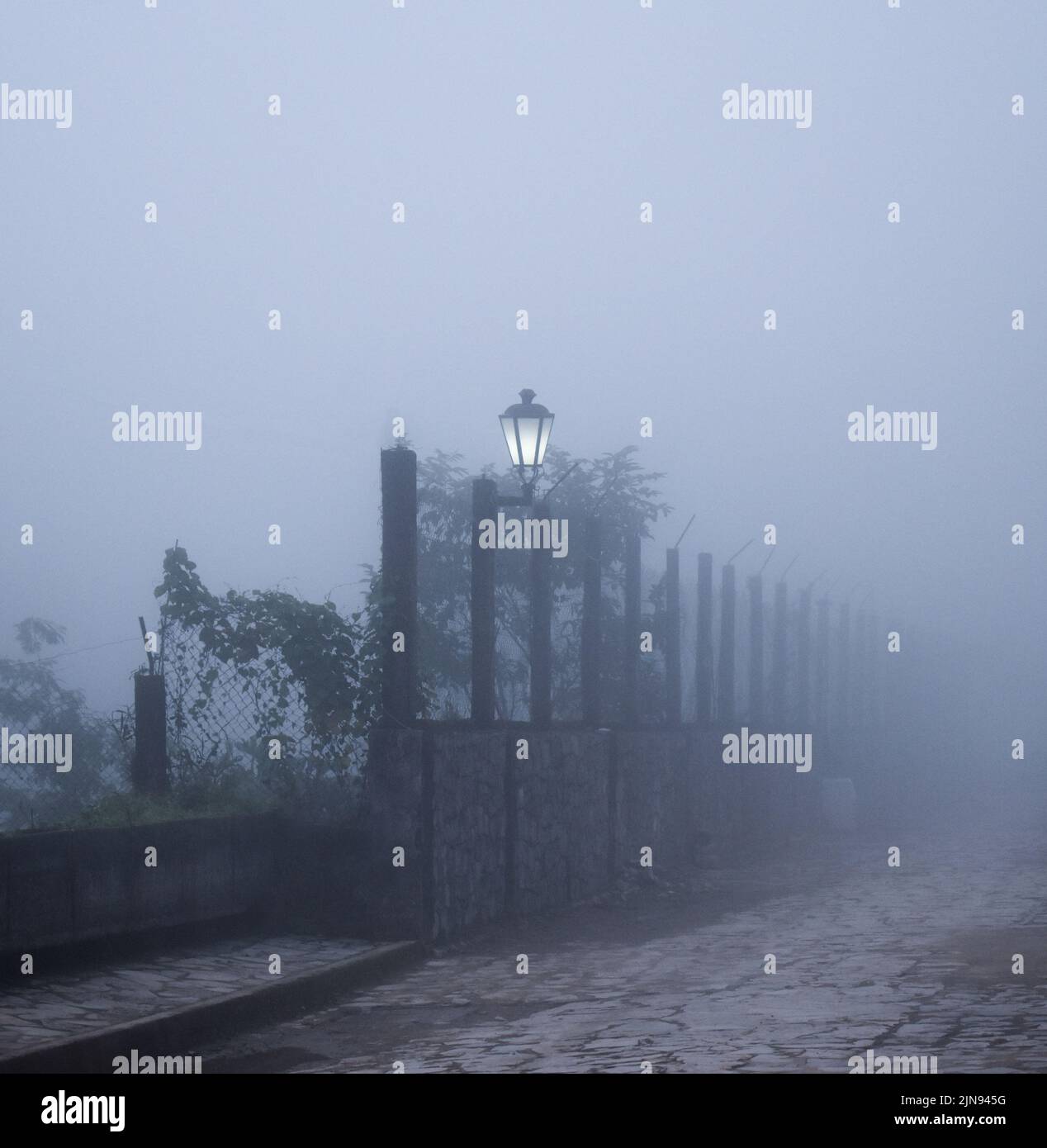 A beautiful and modern fence on the street with a street lamp covered ...