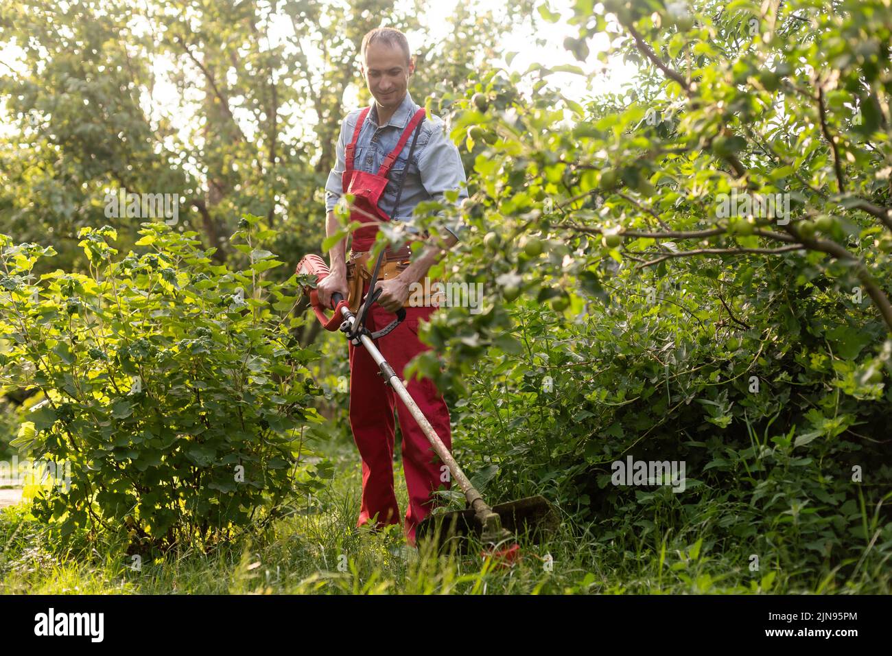 Mowing grass with electric lawn mower. Garden work concept. Man mows ...