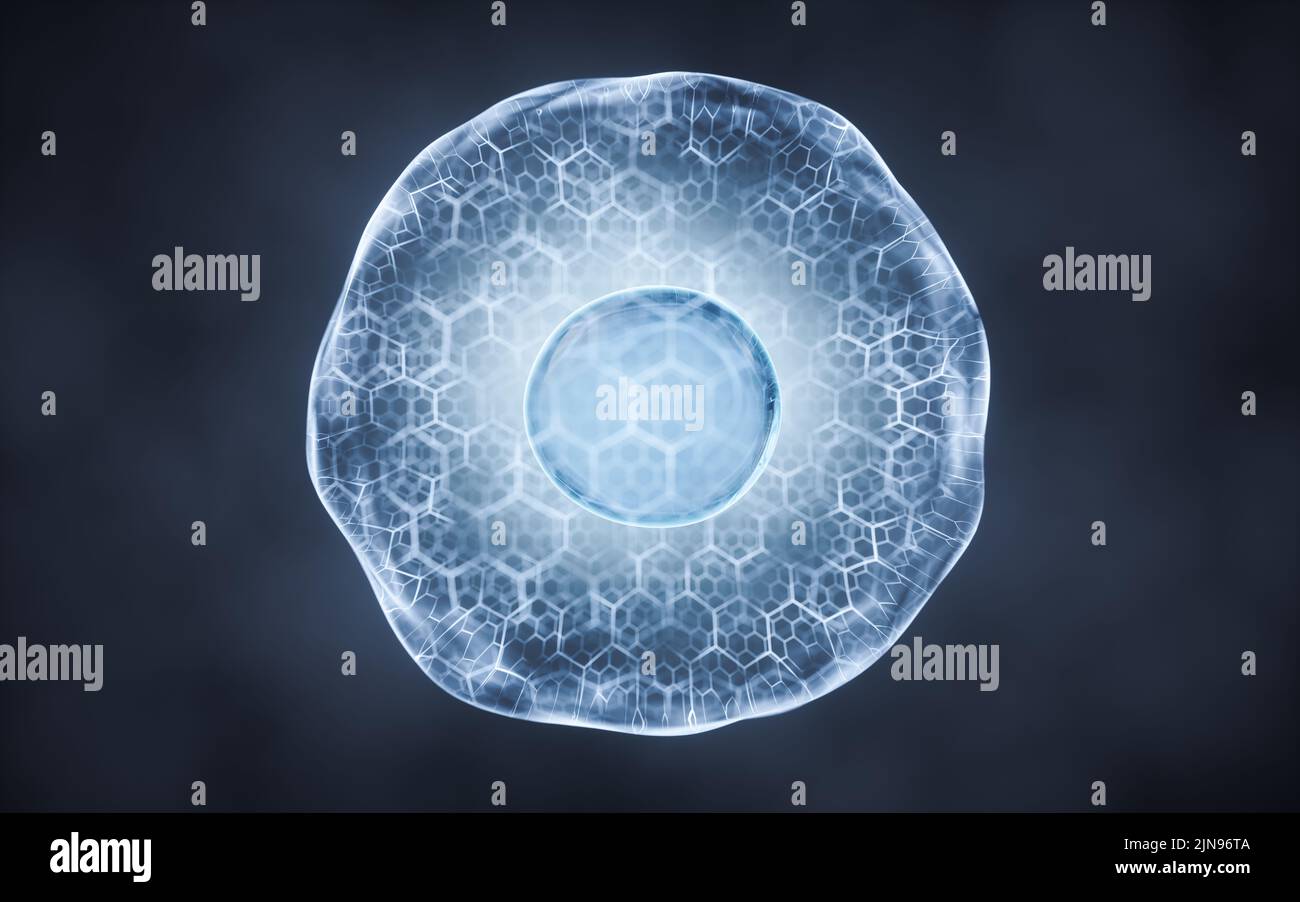 Biological cell with thin film, 3d rendering. Computer digital drawing ...