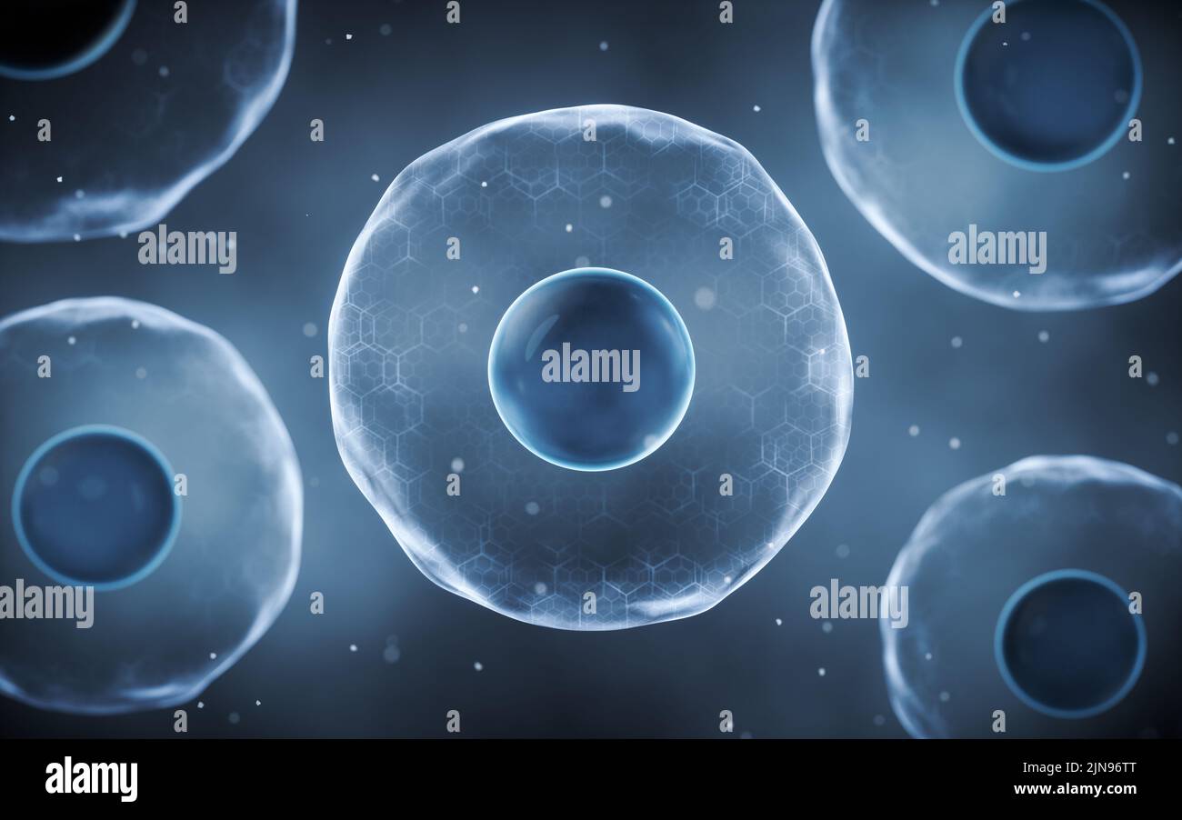 Biological cell with thin film, 3d rendering. Computer digital drawing ...