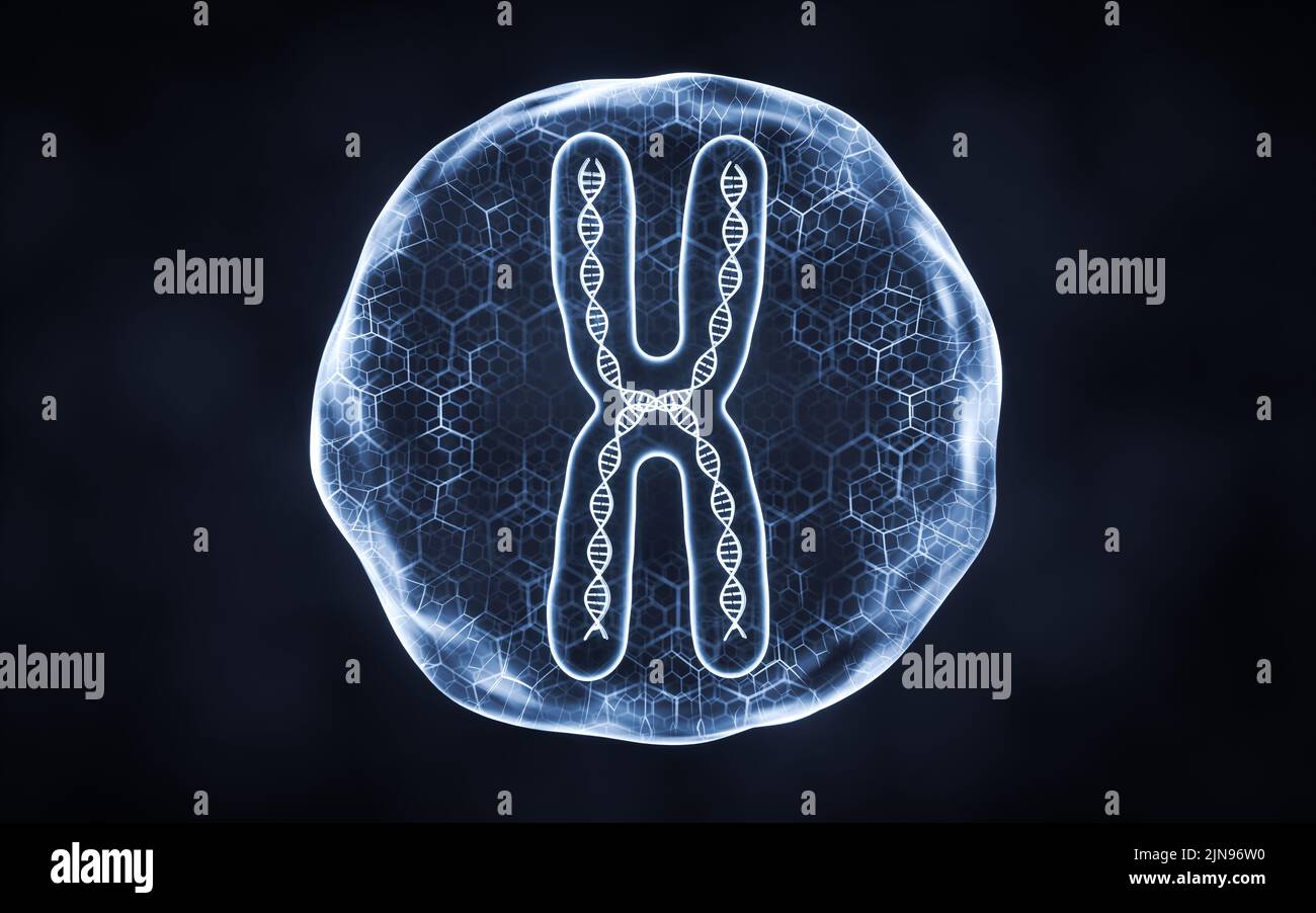 Organic sphere with chromosome inside, 3d rendering. Computer digital ...