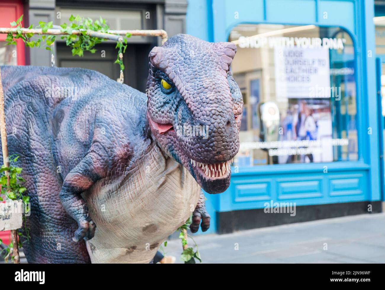 A person in a dinosaur outfit entertaining crowds in West End,London ...