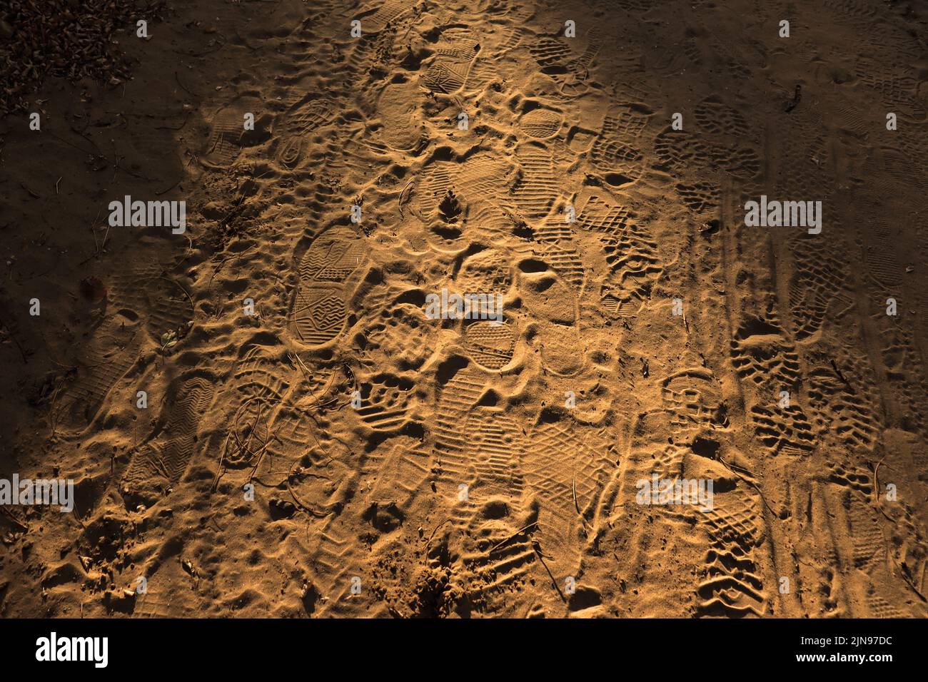 Dirt road with visible footsteps and some shadows from the trees Stock ...