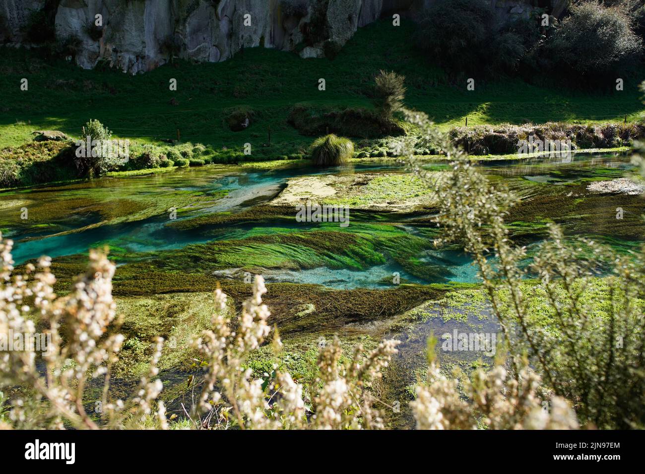 Beautiful river of Te Waihou Walkway in Hamilton New Zealand surrounded ...