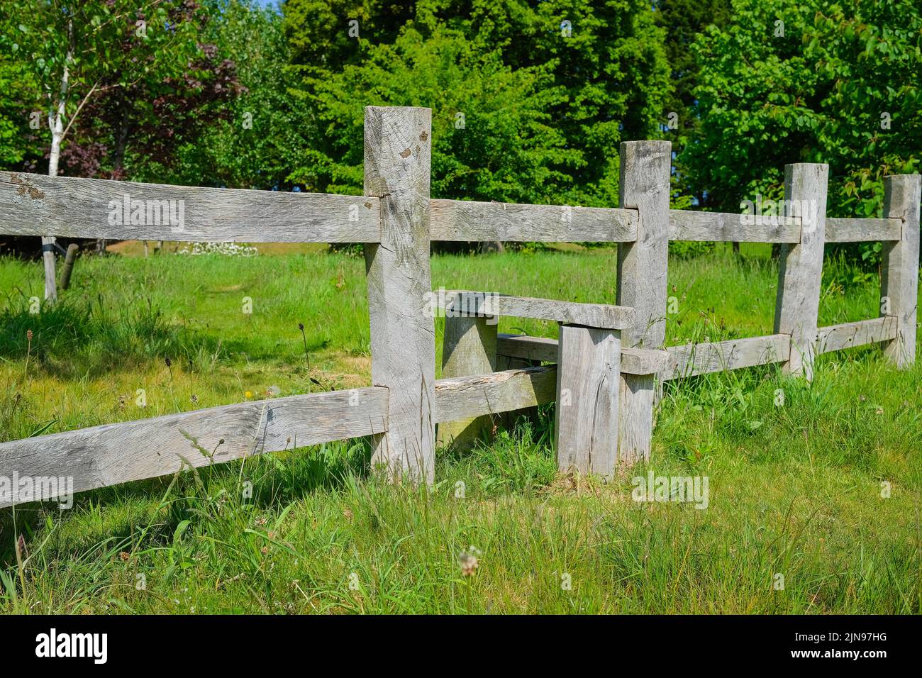 The old gray wooden fence dividing the green grass field on a sunny day ...