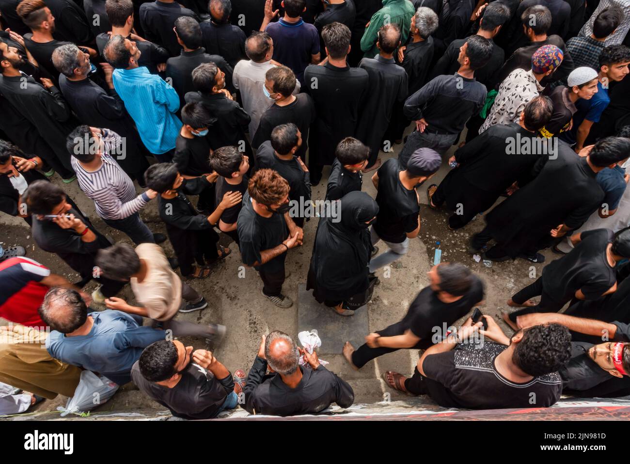 Srinagar, India. 09th Aug, 2022. Shia Muslims beat chests as they walk ...