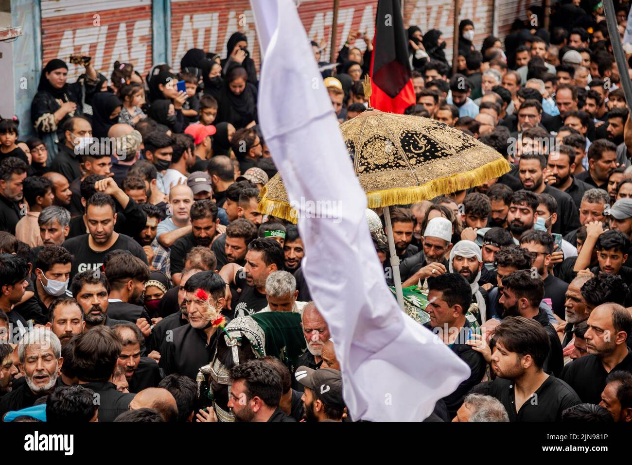Srinagar, India. 09th Aug, 2022. Shia Muslims gathered around a Horse ...