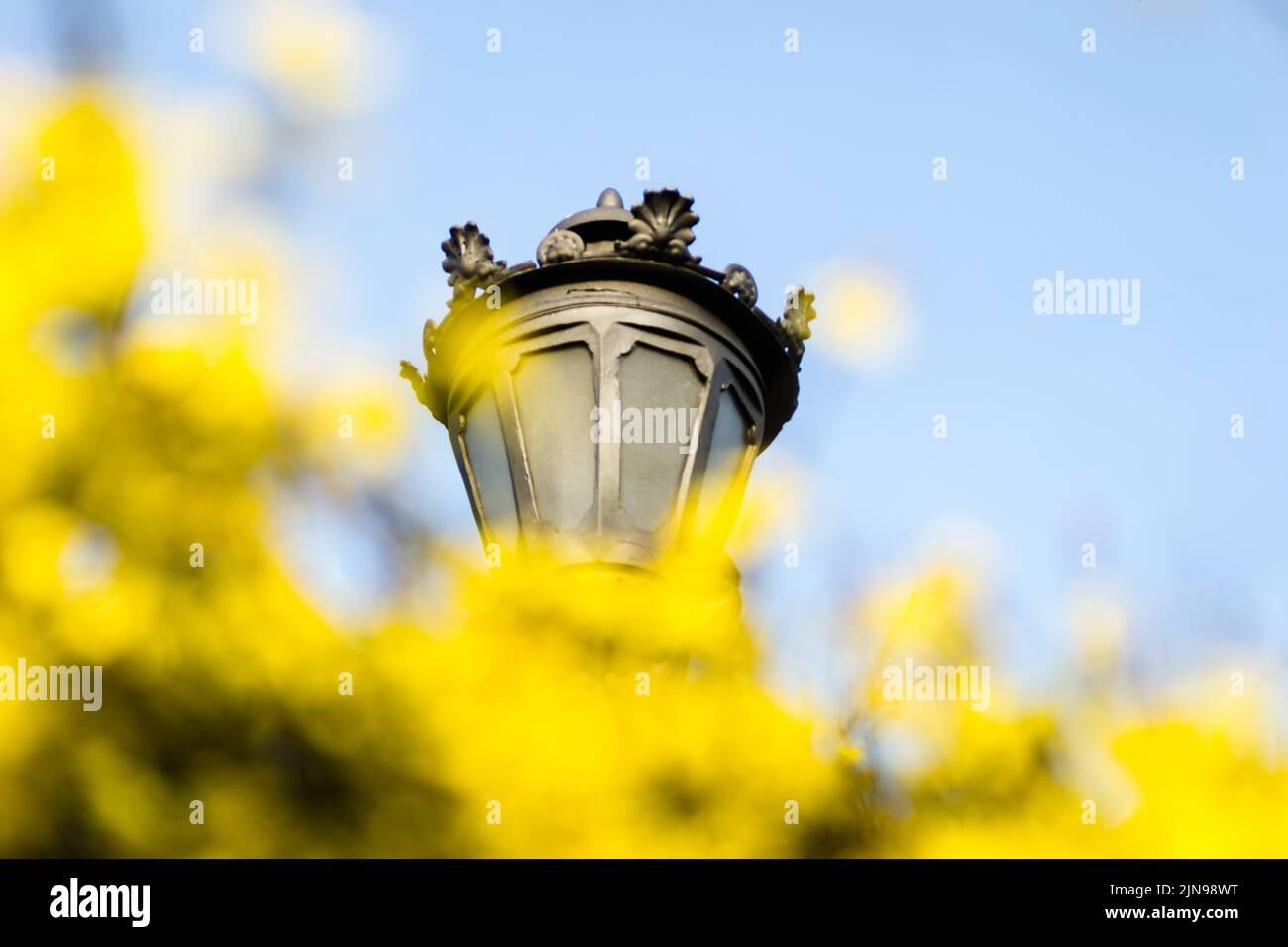 Medieval Petrovaradin Fortress Novi Sad Serbia. Newer lighting on the ...
