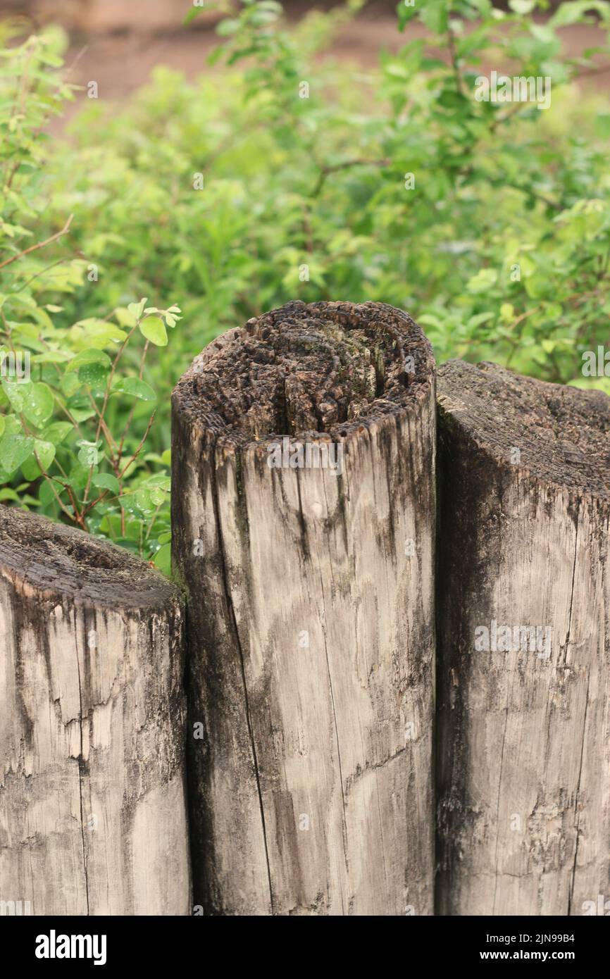 Upright posts garden hi-res stock photography and images - Alamy