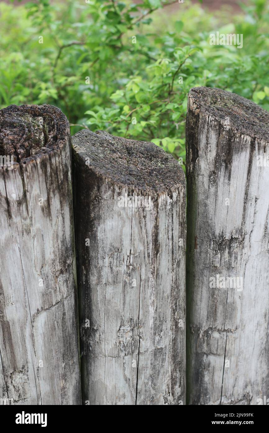 Upright posts garden hi-res stock photography and images - Alamy