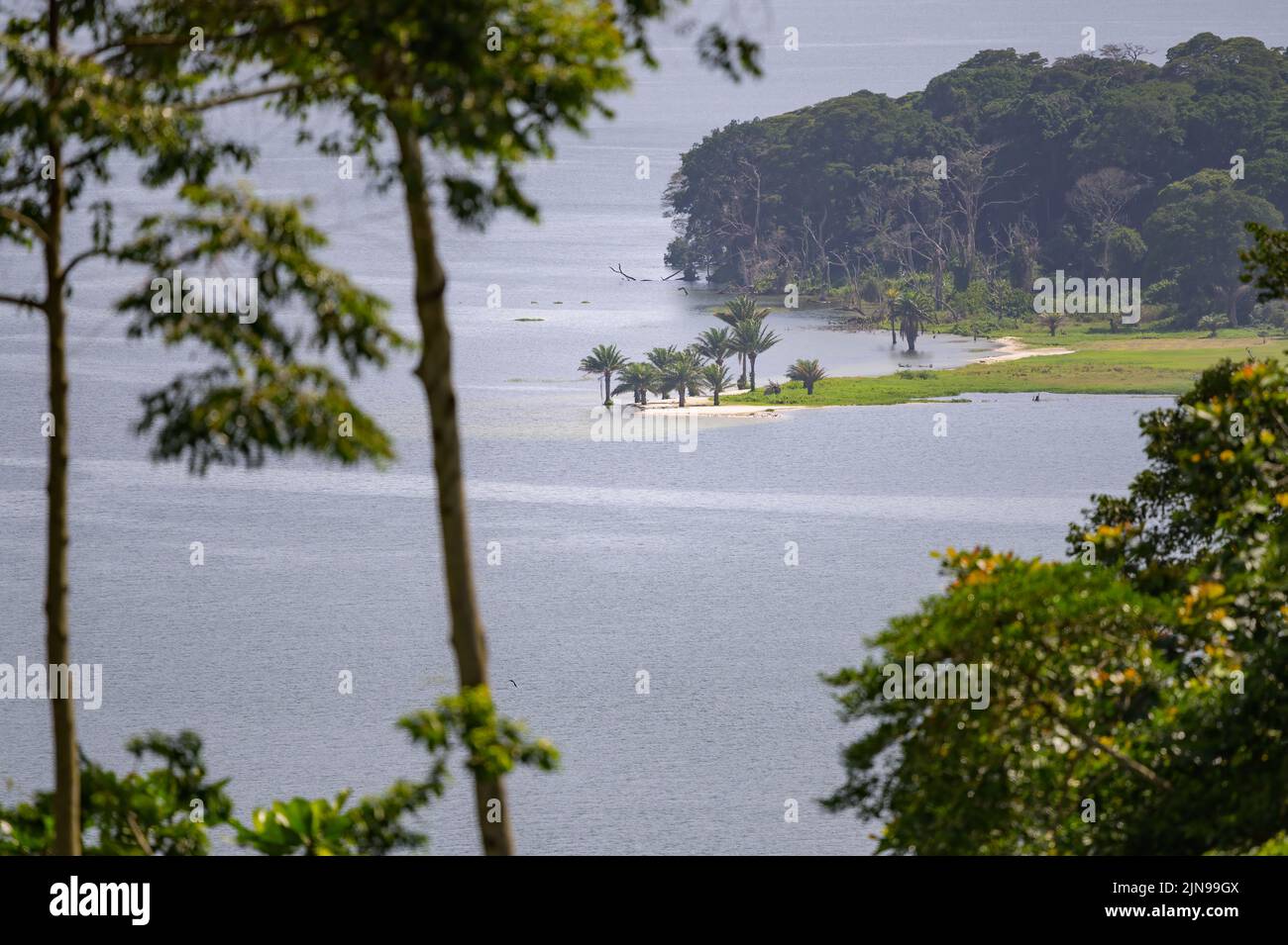 Lake Victoria near Kalangala (Uganda) on a sunny day in May, aerial ...