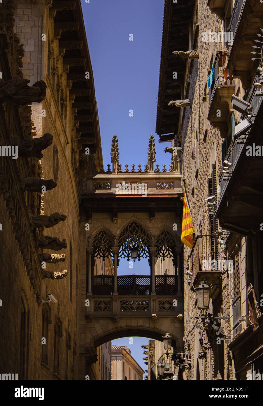 Vertical view of a famous bridge between two buildings from far in the ...