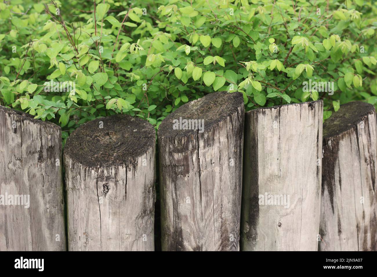 Upright posts garden hi-res stock photography and images - Alamy