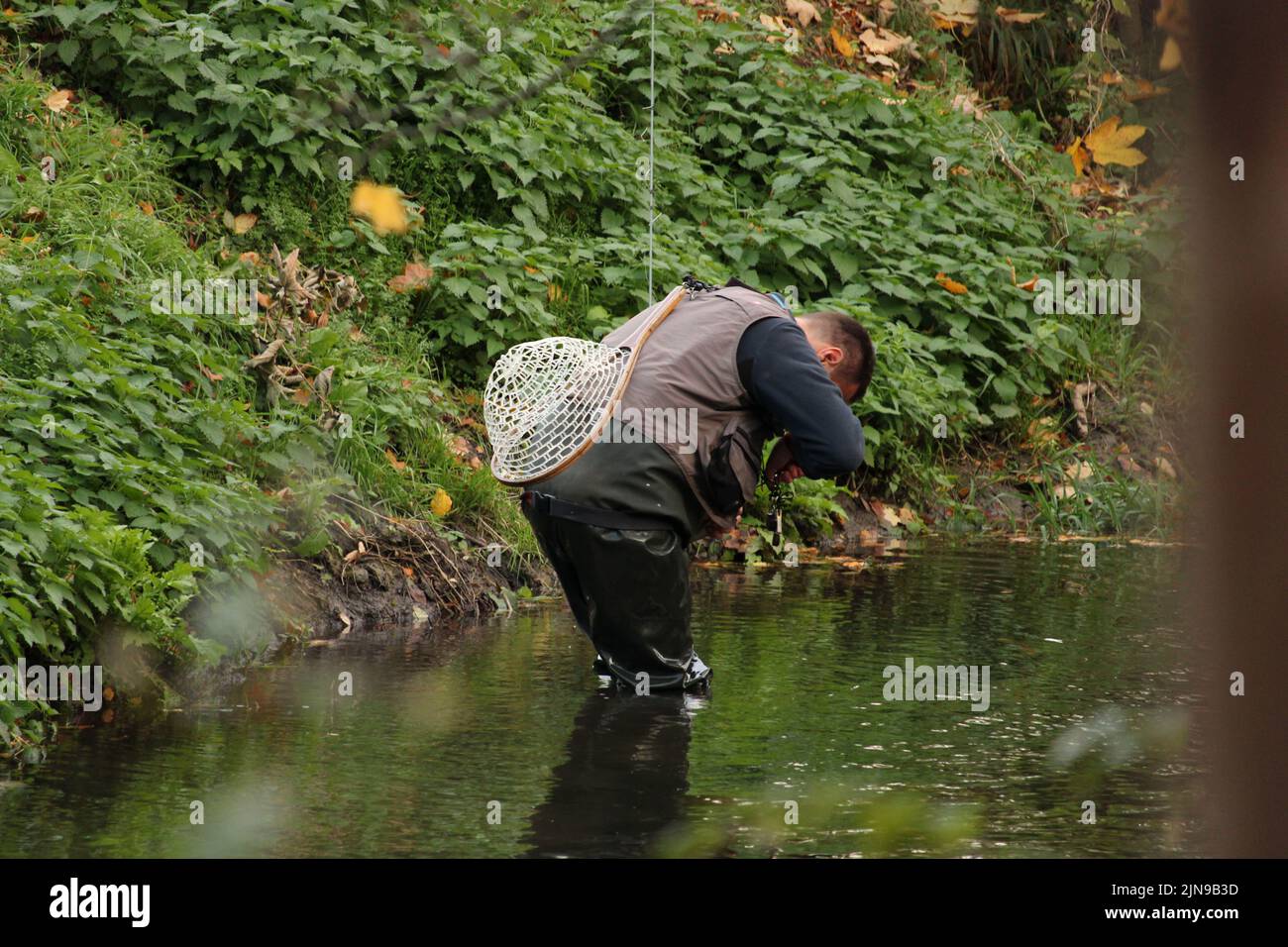 Aquaculture pond hi-res stock photography and images - Alamy