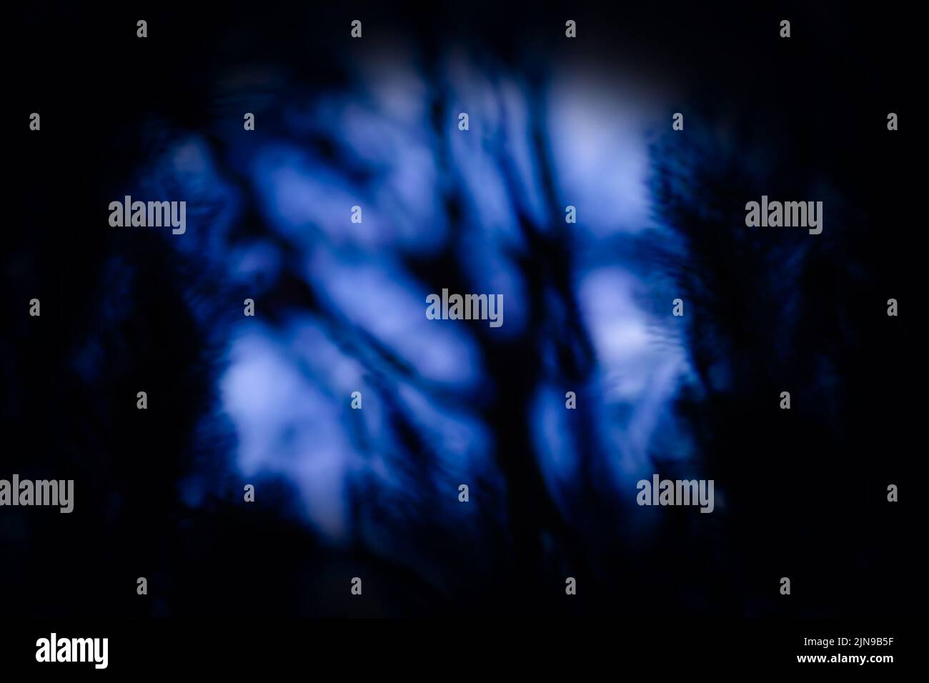 Paranormal blur stranger autumn Halloween horror backdrop. Blurred ...