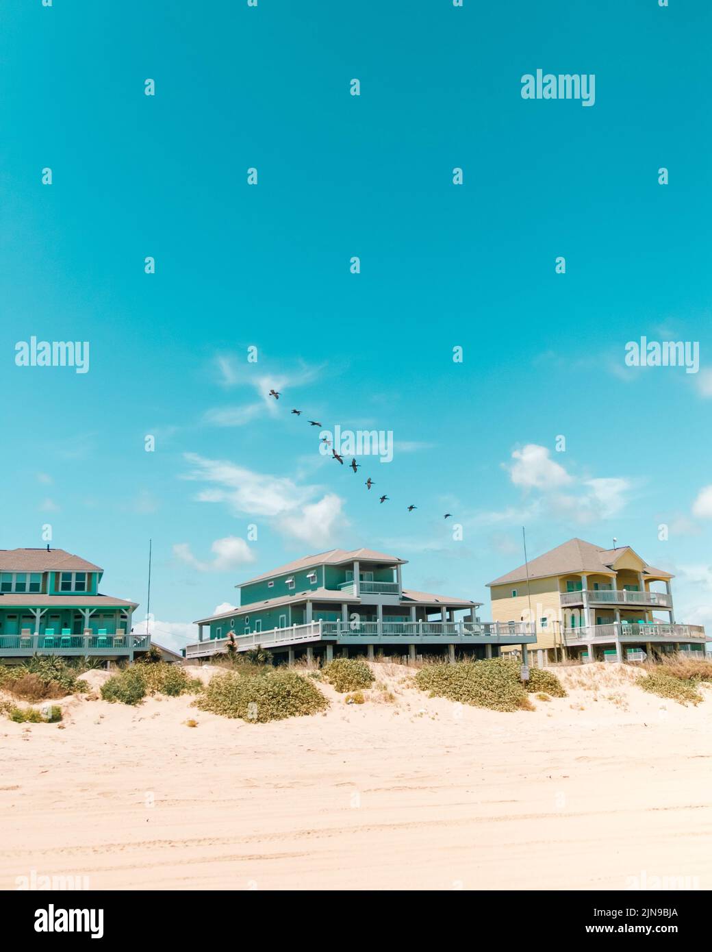 A vertical shot from sandy beach of birds flying in blue sky above ...