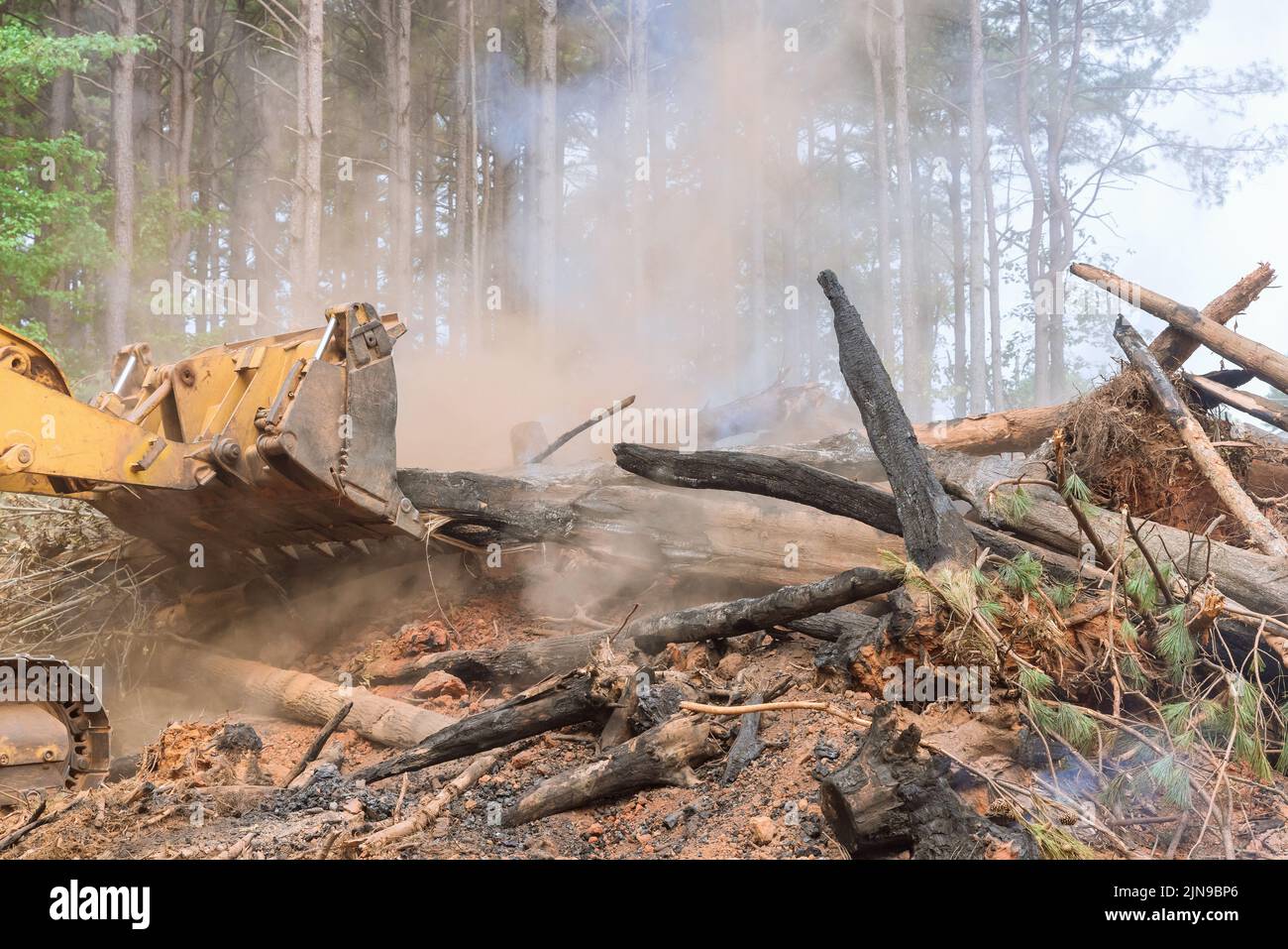 Destroyed trees bulldozed hi-res stock photography and images - Alamy