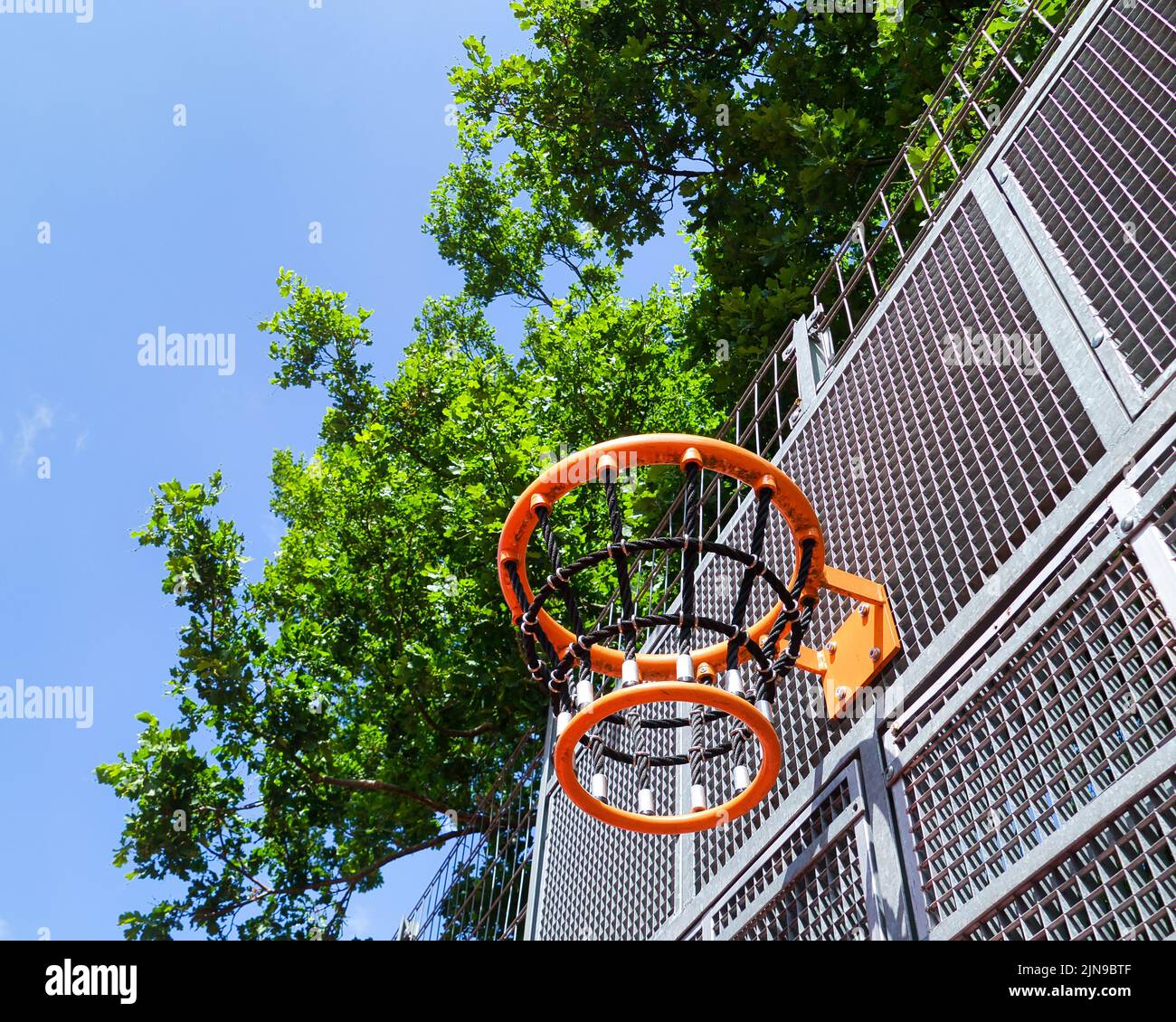 A low angle shot of basketball hoop under growing trees Stock Photo - Alamy