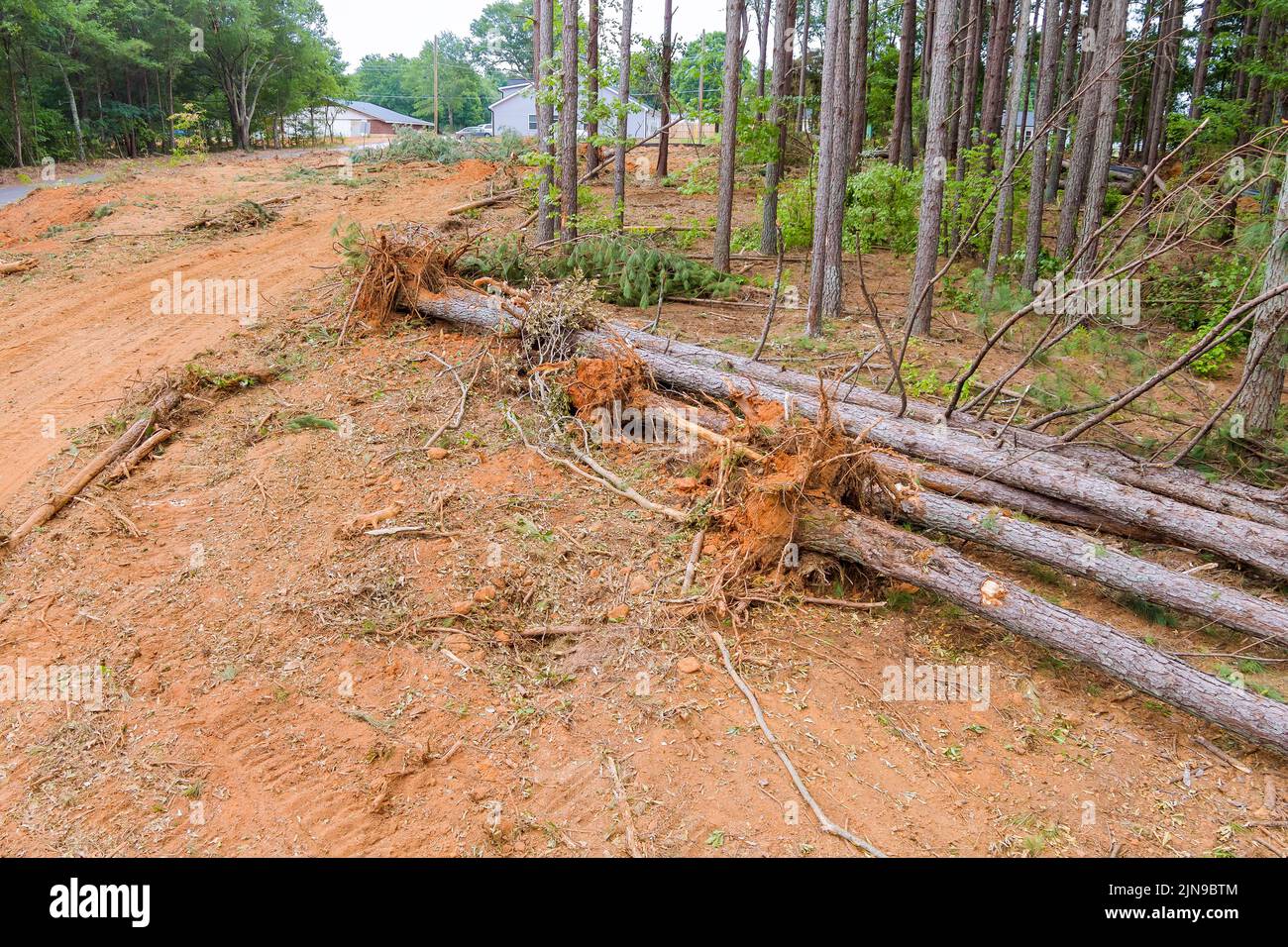 A construction site with trees uprooted roots, and a landscape that was ...