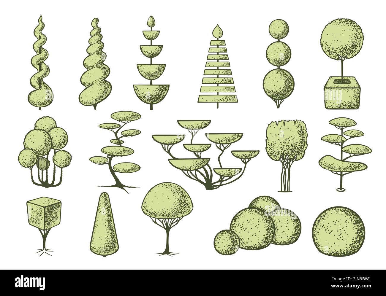 topiary tree set sketch hand drawn vector Stock Vector Image & Art - Alamy