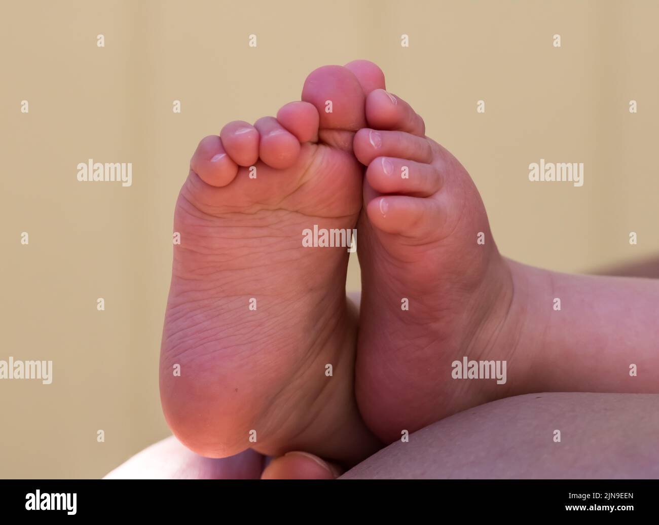 Curled up feet hi-res stock photography and images - Alamy