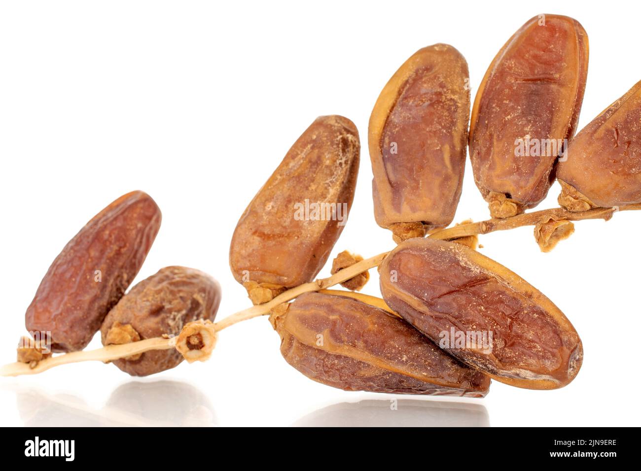 One branch with dry sweet dates, close-up, isolated on white background ...